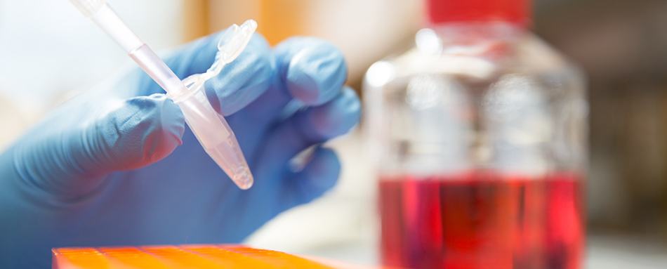 Laboratory Medicine Research Programs | UCSF Pathology